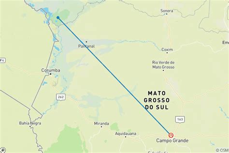 10 Mejores Circuitos Por El Pantanal 2026 Tourradar