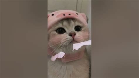 Cute Aesthetc Youtube