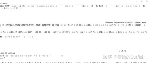 图片编辑好后对图片原始数据Exif删除的几种方法 知乎