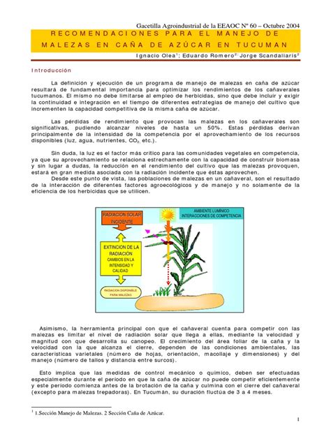 Gacet Malezas 60 Pdf Herbicida Botánica