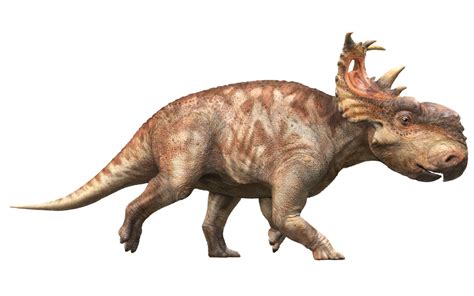 Patchi By Dracoawesomeness On Deviantart