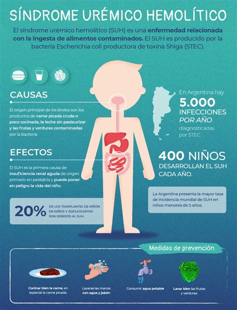 Síndrome Urémico Hemolítico El Primer Fármaco Del Mundo Para Tratar La Enfermedad Se Investiga