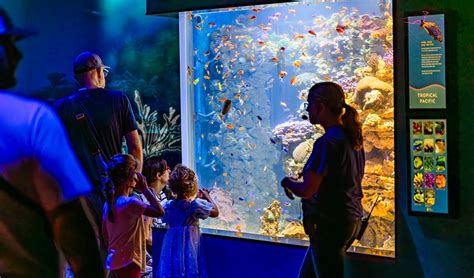 All Events Birch Aquarium At Scripps