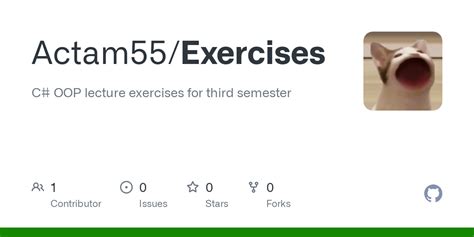 Github Actam55exercises C Oop Lecture Exercises For Third Semester