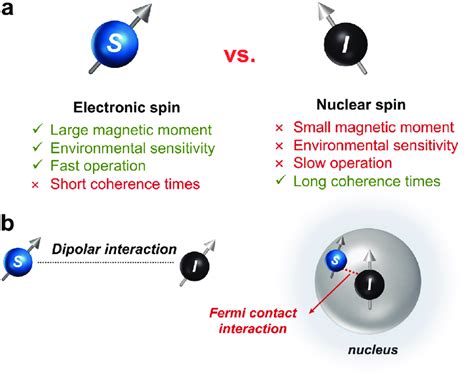 A Comparison Of The Advantages Of Electronic Spins Unpaired