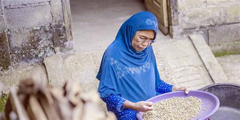 gallery java coffee arabica and robusta supplier