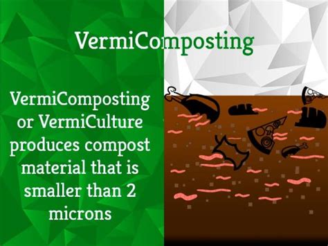 Composting Basics All You Need To Know GreenSutra