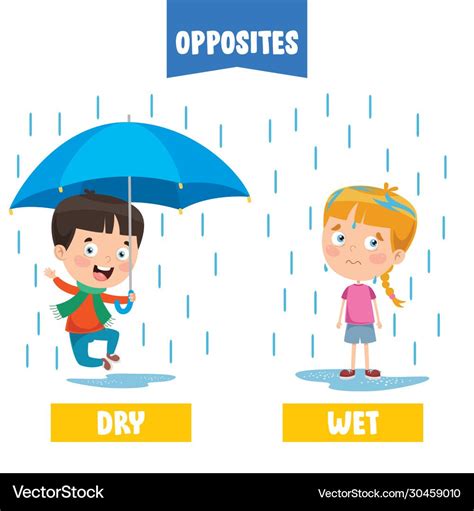 Dry And Wet Vector Image On Vectorstock Adjectives Learning English