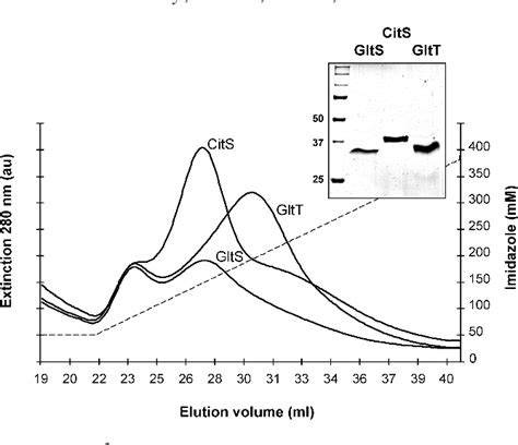 Figure 1 From University Of Groningen Projection Structure By Single Particle Electron