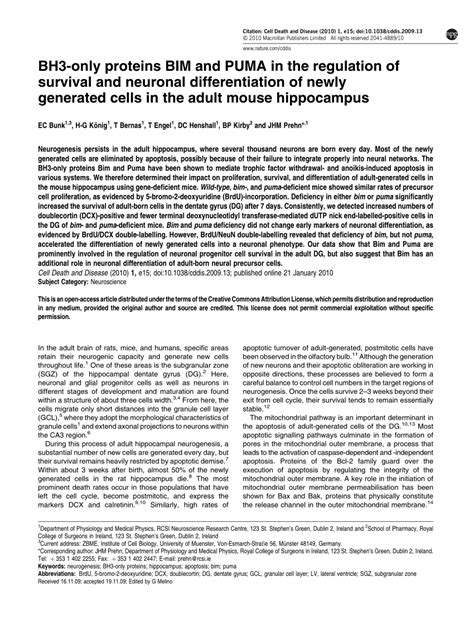 Pdf Bh3 Only Proteins Bim And Puma In The Regulation Of Survival And