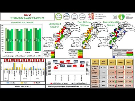 displaying data visually excel dashboards graphs pivottables