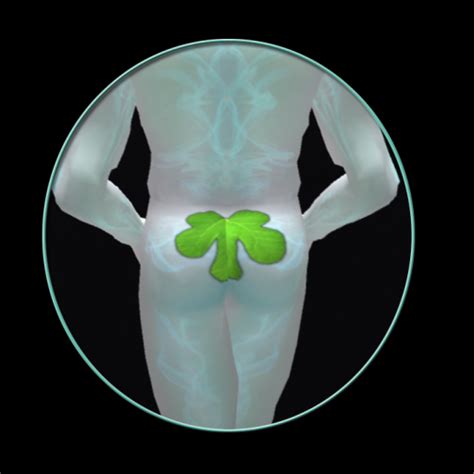 Second Life Marketplace Vlilith Adam And Eve Fig Leaf Natural Male