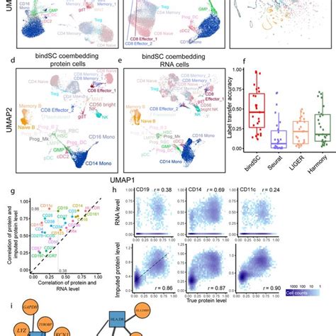 Integrating Single Cell Rna With Protein Data Produced By A Cite Seq