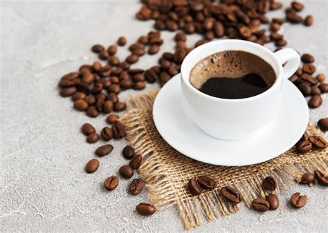 Bunn My Cafe Mcu Review Everything You Need To Know Coffee Belly