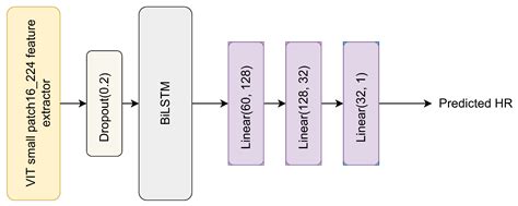 Remote Heart Rate Estimation Based On Transformer With Multi Skip Connection Decoder Method And