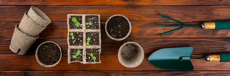 생분해 성 이탄 이끼 냄비에 꽃 묘목을 이식합니다 폐기물 제로 재활용 플라스틱 무료 원예 개념 상단보기 배너 0명에 대한 스톡