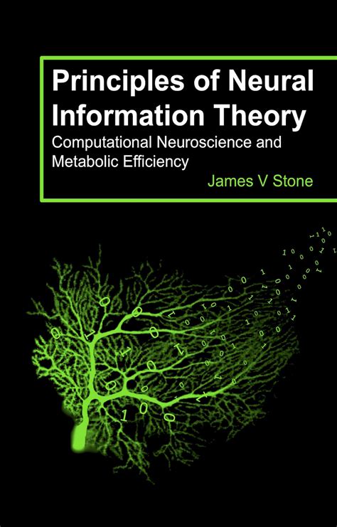 Principles Of Neural Information Theory Computational Neuroscience And Metabolic Efficiency