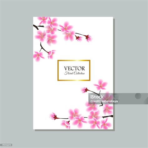 꽃 사쿠라 나무 가지 황금 사각형 텍스트 템플릿 주위에 테두리 꽃 식물에 대한 스톡 벡터 아트 및 기타 이미지 꽃 식물 책표지 가리기 Istock