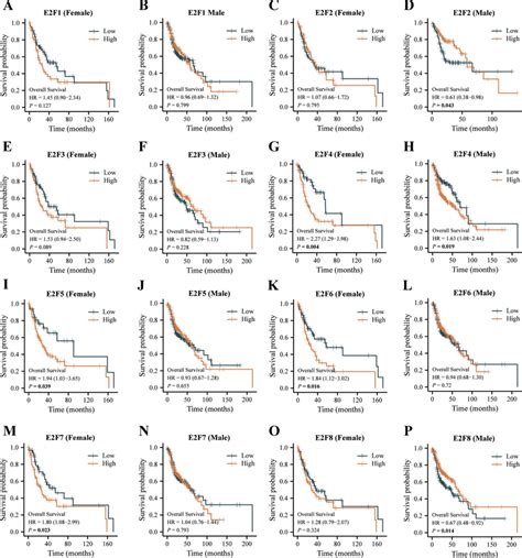 Effects Of E2fs On The Os Of Hnscc Patients Segregated By Gender E2f1 Download Scientific