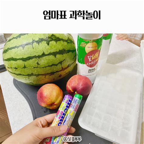 집콕 엄마표 과학놀이 사이다 멘토스 어린이 과학실험 네이버 블로그