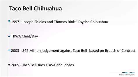 Ip Protection Strategies Ppt