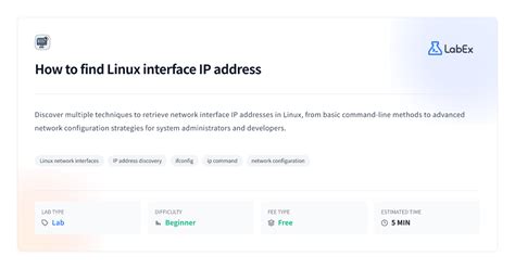How To Find Linux Interface Ip Address Labex