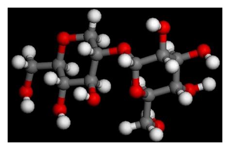 Cellobiose Unit 12adglucose Dimer One Repeating Unit Or Cellobiose Download Scientific