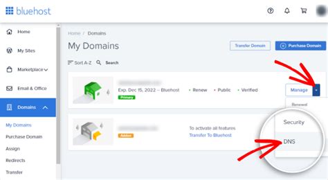 How To Check Domain DNS Records And History 5 Free Tools