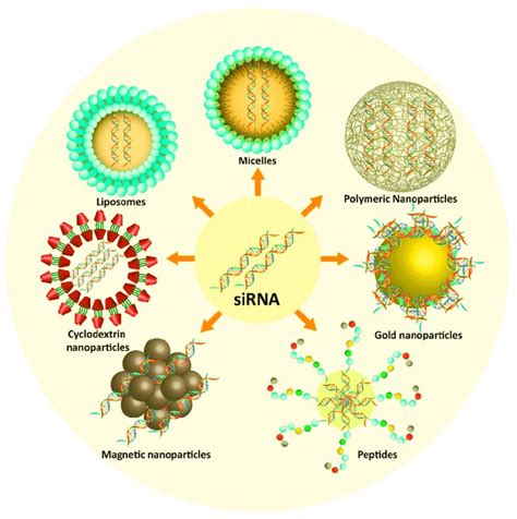 Sally El Ashry On Linkedin Sirnatherapy Cancerresearch Nanosacdelivery Oncologyresearch…