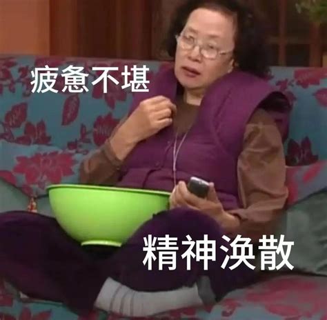 爆火的罗文姬女士表情包！谁能不爱？ 哔哩哔哩