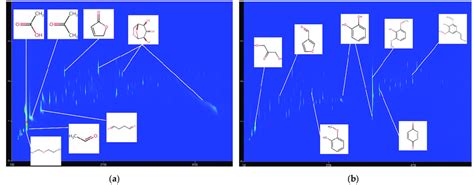 Gc×gc Tof Ms Chromatogram Of First Fractionation A Water Phase And Download Scientific