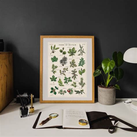 British Trees Poster Vintage Tree Artwork Native Trees Of Etsy UK