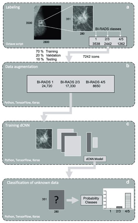 Schematic Pipeline Of The Workflow Used A First Mammograms Were