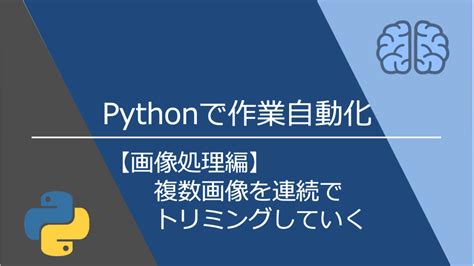 Pythonで作業自動化画像処理編 複数画像を連続でトリミングしていく Mickey s Life