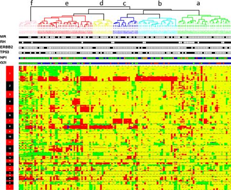 Tumoral Classification According To Array Cgh Genomic Profile Download Scientific Diagram