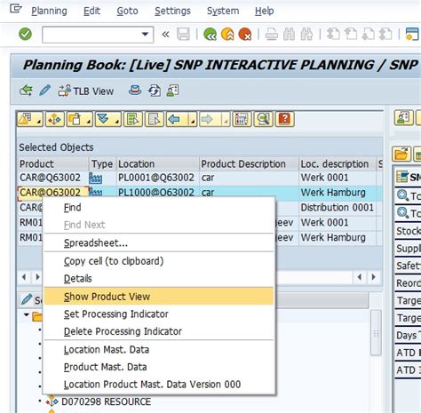 Solved How To Display Snp Planning Book With Snp Plan Sap