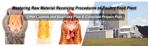 Poultry Feed Plant Profitability Mastering Raw Material Receiving