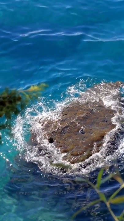 دع نور یدخل قلبک 📖 Youtube