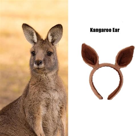 Kangaroo Ears For Dogs