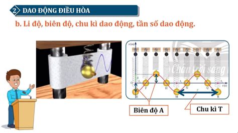 Demo Vật Lí 11 Chân Trời Sáng Tạo Bài 1 Mô Tả Dao động Youtube