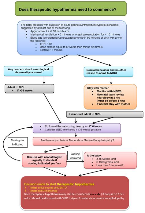 Observation And Management Of Infants At Risk Of Neonatal Encephalopathy