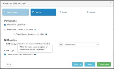 Cerberus Ftp Server 12 11 Auto Delete Files Of A Public Share On Expiration Cerberus Ftp Server