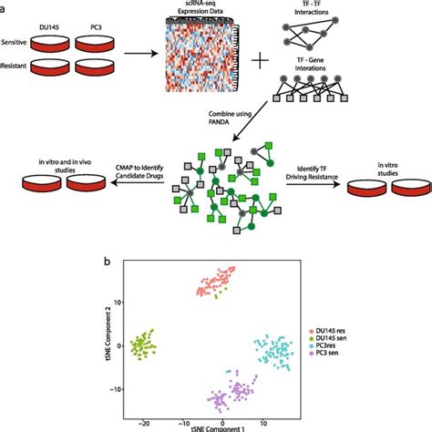 Detailed Workflow Of Study A Gene Expression Data From Each Scrna Seq