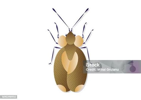 Bug Stephanitis Pyri Vector Art Terisolasi Pada Latar Belakang Putih