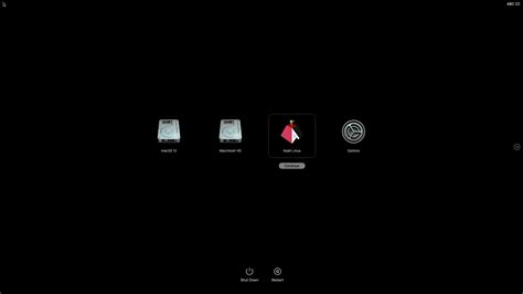 Progress Report August Asahi Linux