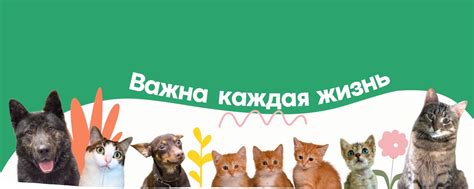 Инициативная группа по защите животных Благотворительная организация г 2024 ВКонтакте