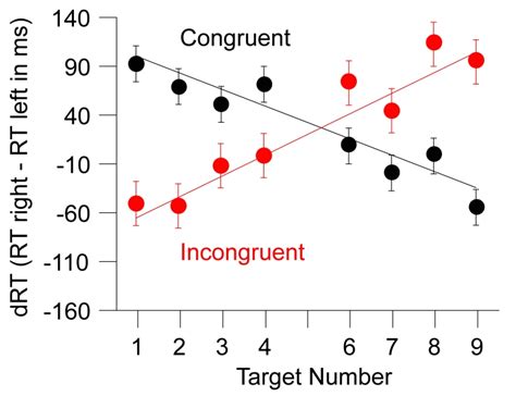 Spatial Representation Of Number