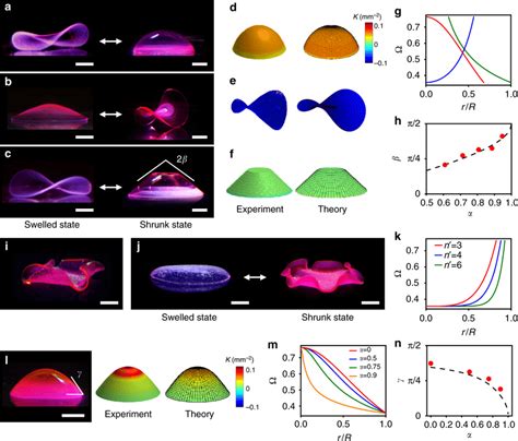 Shape Morphing 3d Structures With Axisymmetric Metrics Ac 3d