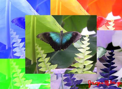 ball state computer science on linkedin cs1 mediacomputation art artshow computerart