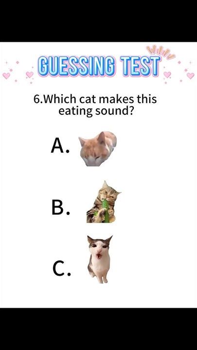 Guess The Cat Meme Funnyshorts Catmemes Shorts Memes Youtube